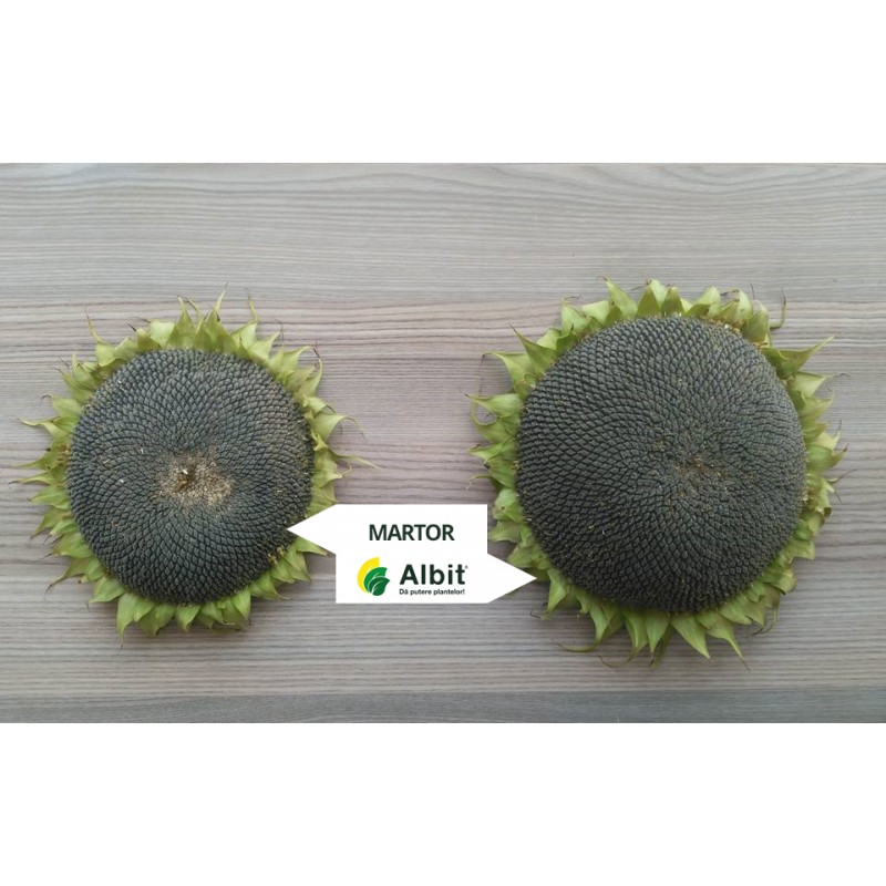 Biostimulator ALBIT, Ingrasamant Foliar, 10 ml