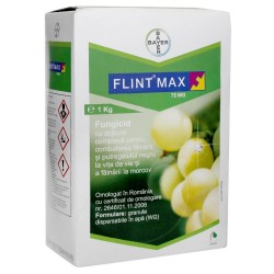 Fungicid FLINT MAX 75 WG, Bayer, Sistemic, 1 kg