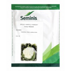 Depozit de Seminte. Seminte de Legume Profesionale la Pret Redus - Verdon