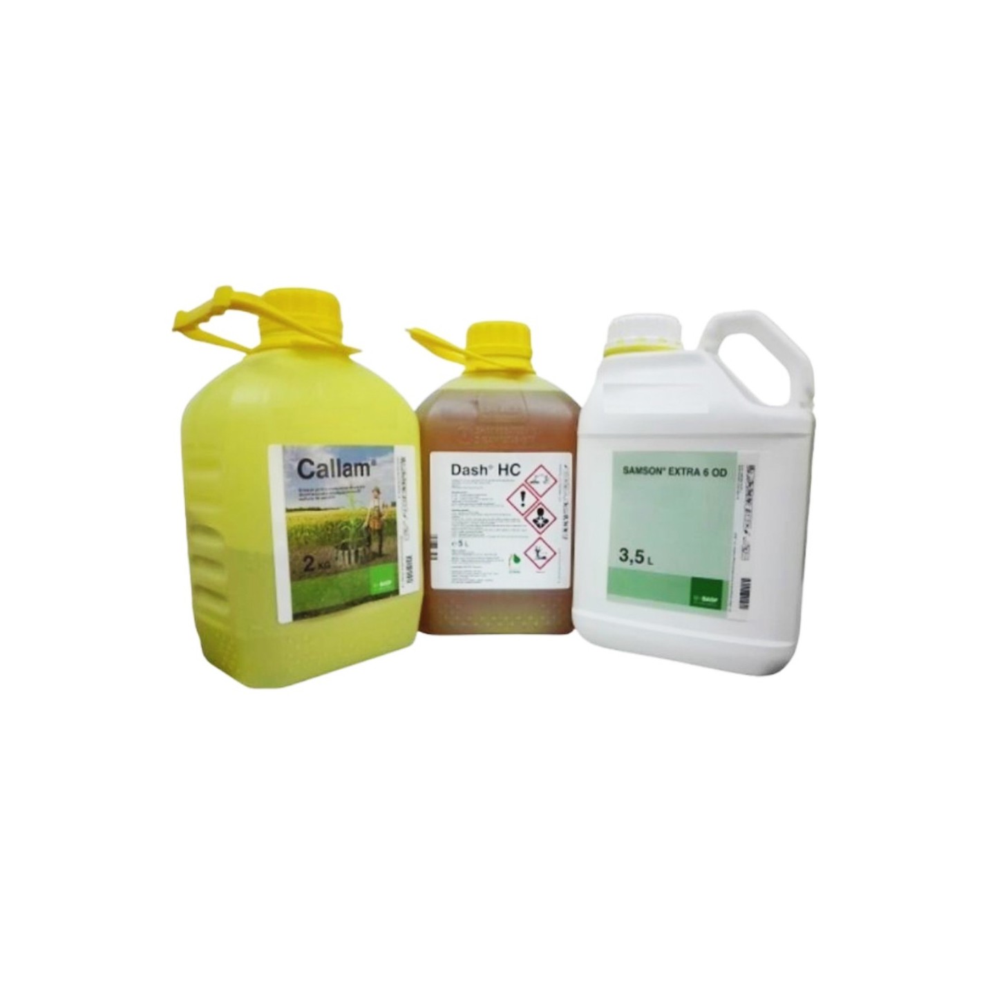 Pachet Porumb REKORD MAX, BASF, 5 ha