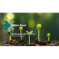 Stimulator de inradacinare TURBO ROOT - 1 Litru, Vitana