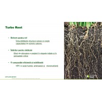 Stimulator de inradacinare TURBO ROOT - 1 Litru, Vitana