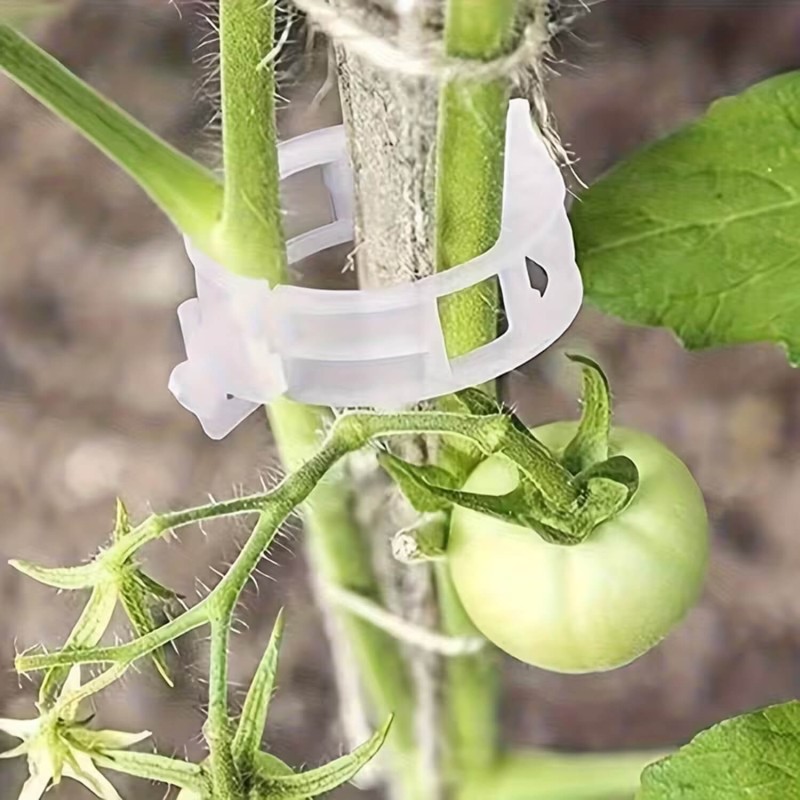 Clipsuri palisare rosii si alte legume 23 mm - punga 100 buc