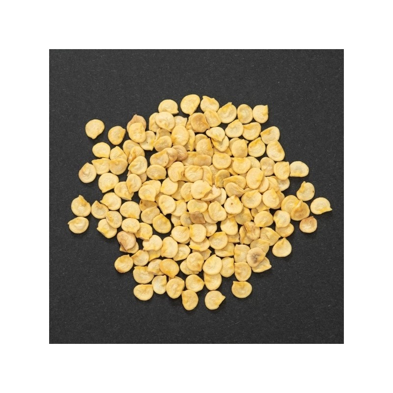 Seminte Ardei ROMULUS F1, Hektar – 100 seminte | Hibrid romanesc