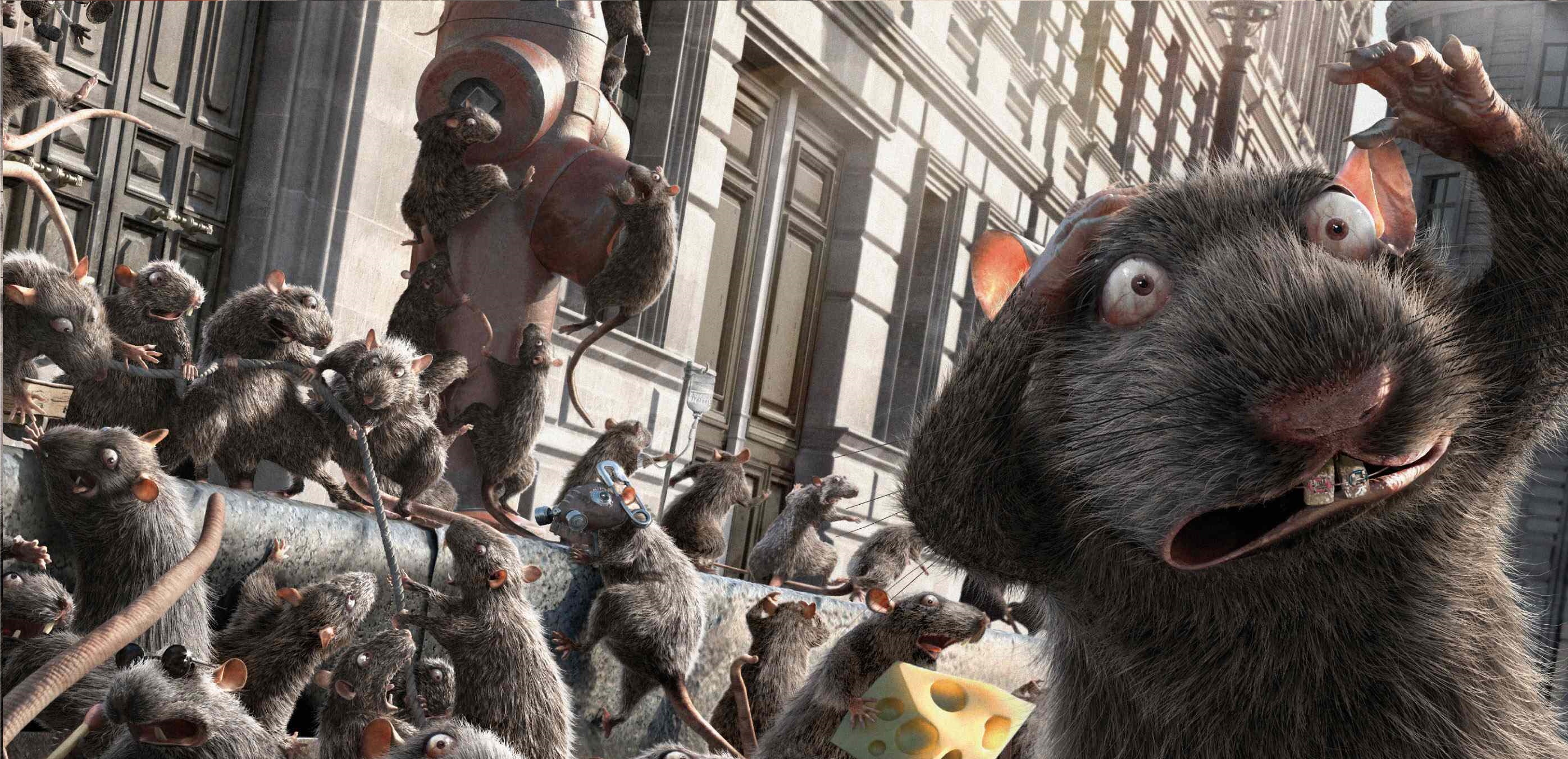 Otrava sobolani, Otrava soareci, Capcane, Statii intoxicare - Verdon